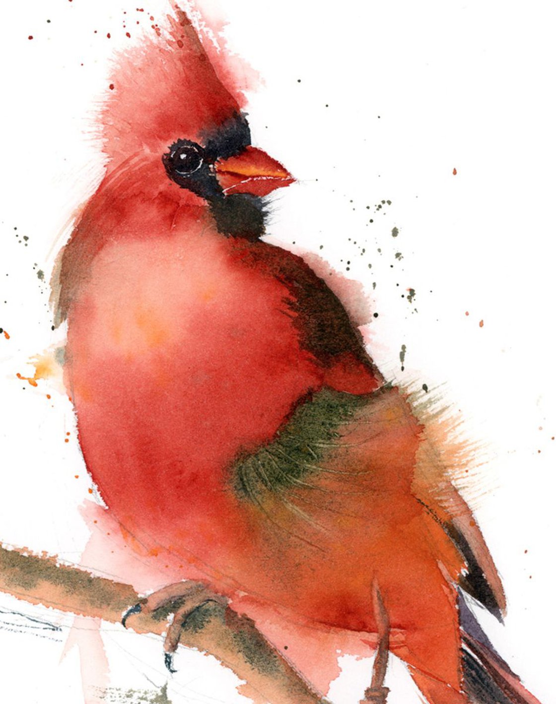 Red Cardinal Original Watercolor Watercolour: Olga Tchefranov ...
