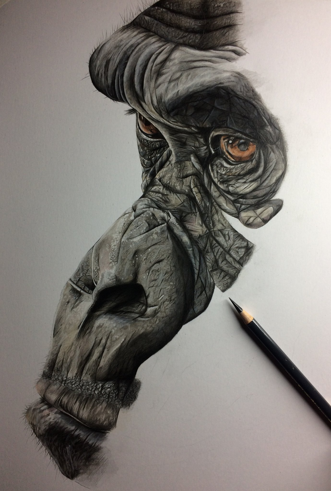 Gemma Duffield - Latest from Artist Studio | Artfinder