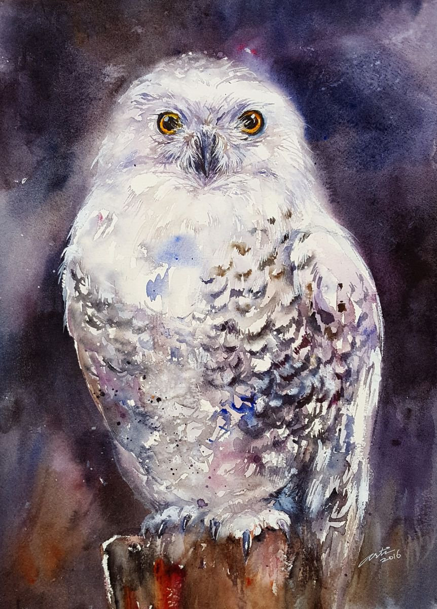 Misty _Owl Watercolour by Arti Chauhan | Artfinder