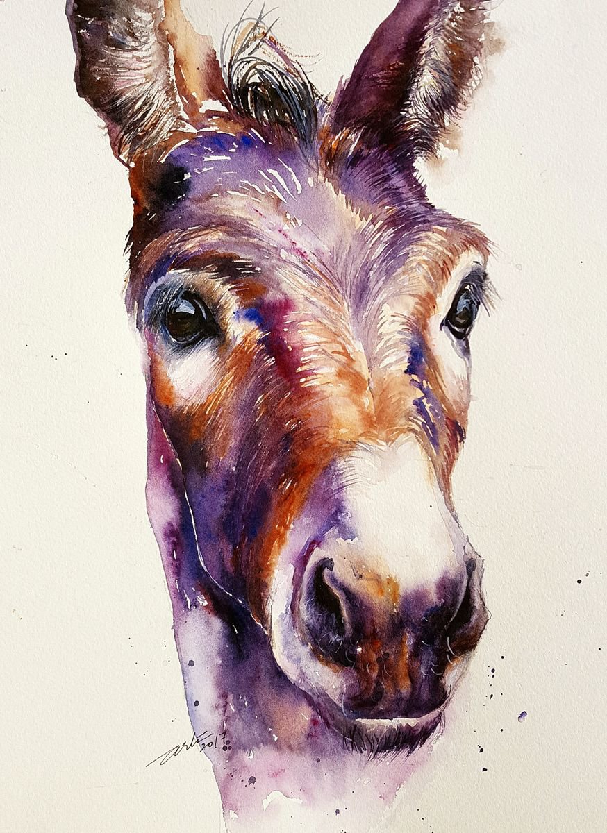 Billy the Donkey Watercolour by Arti Chauhan | Artfinder