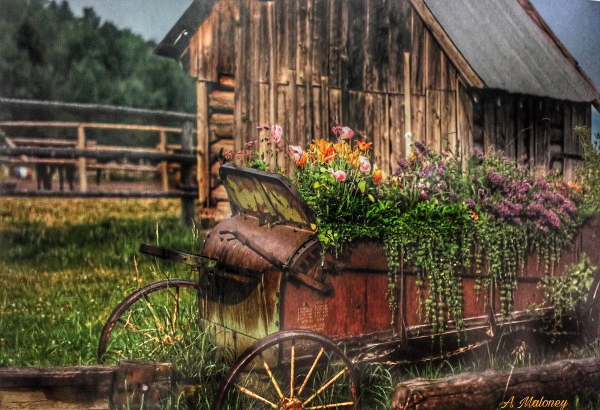 Wagon of Flowers Digital Art by Alison Maloney | Artfinder