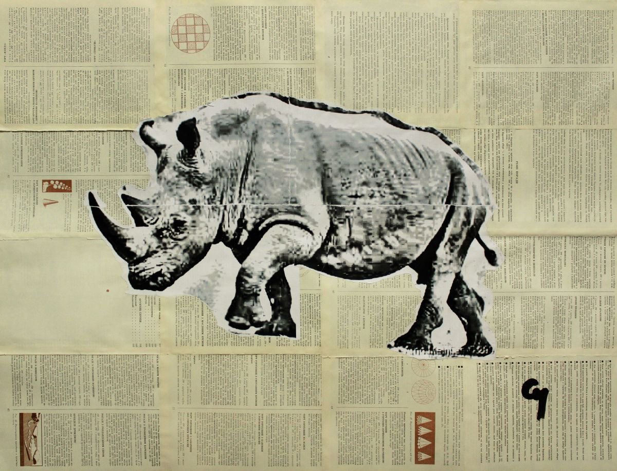 Ordinary Rhino. (2017) Collage by Marat Cherny | Artfinder