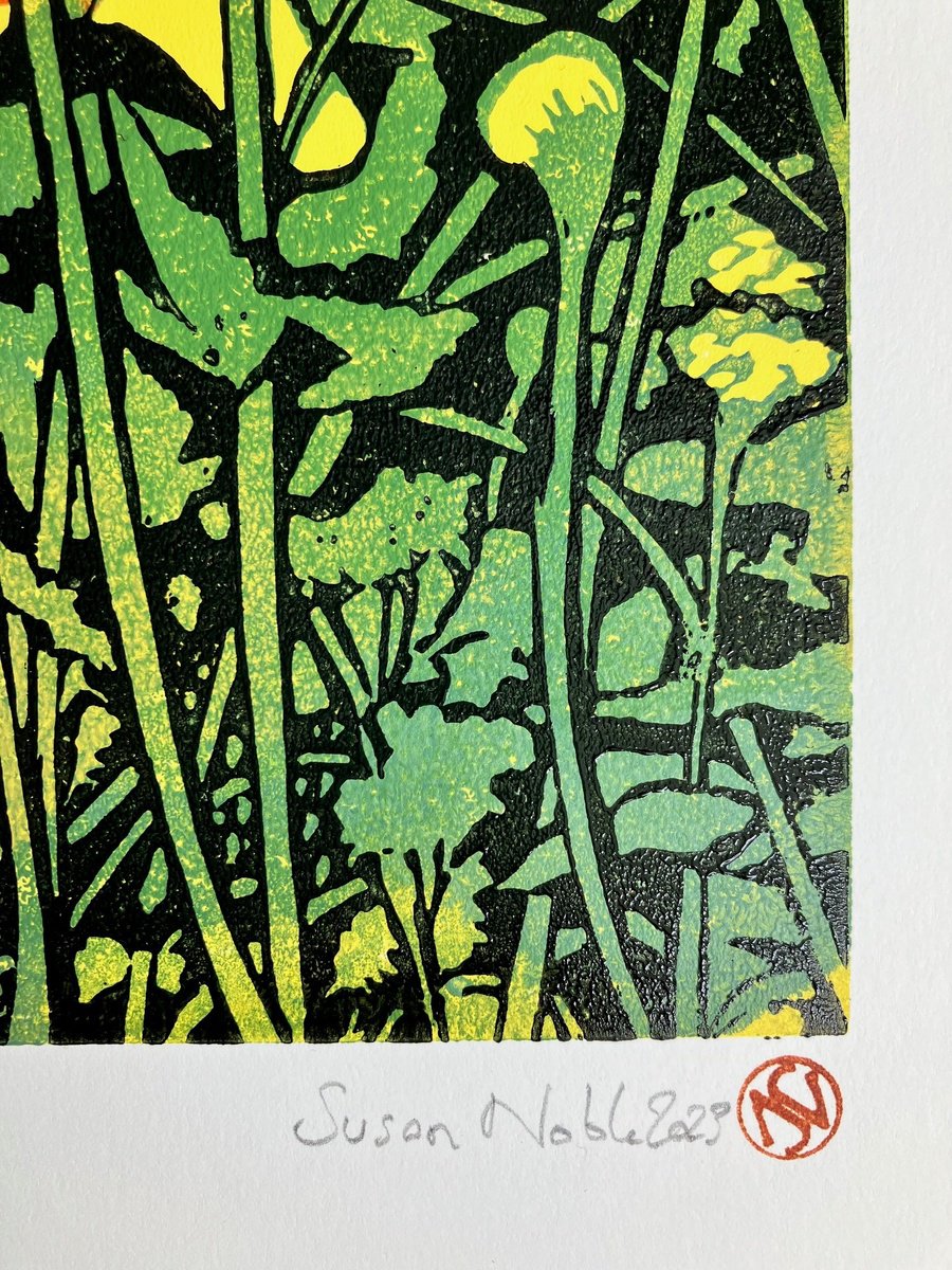 Black-eyed Susans Linocut: Susan Noble | Artfinder