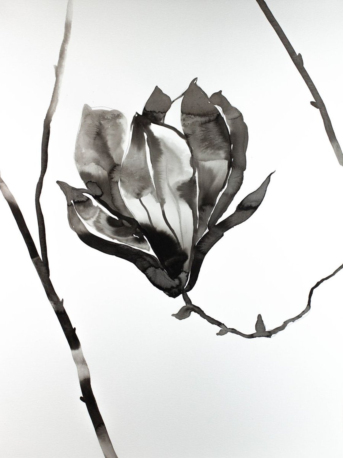 Magnolia No. 22 Painting: Elizabeth Becker | Artfinder