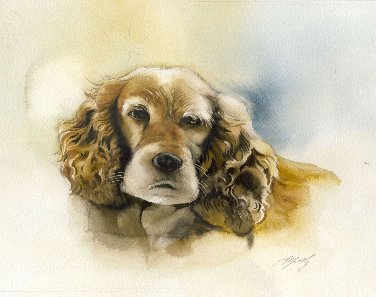 Cocker Spaniel watercolor Watercolour: Alfred Ng | Artfinder