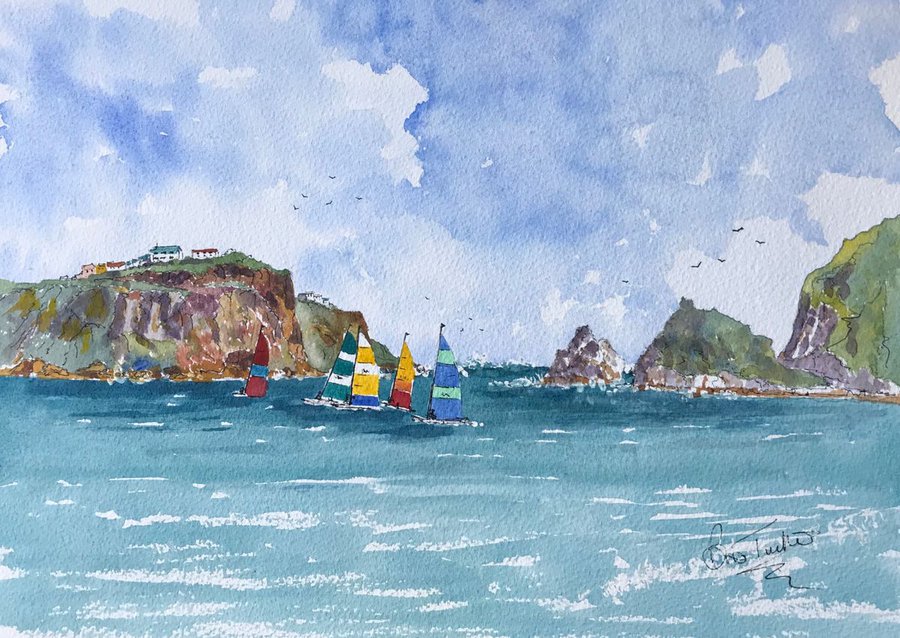 Yachts sailing at Knysna Watercolour: Brian Tucker | Artfinder