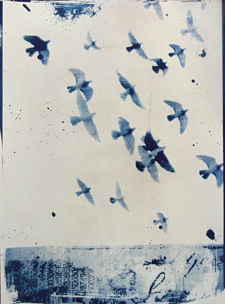Cyanotype_03_A3_Birds Print by Manel Villalonga | Artfinder