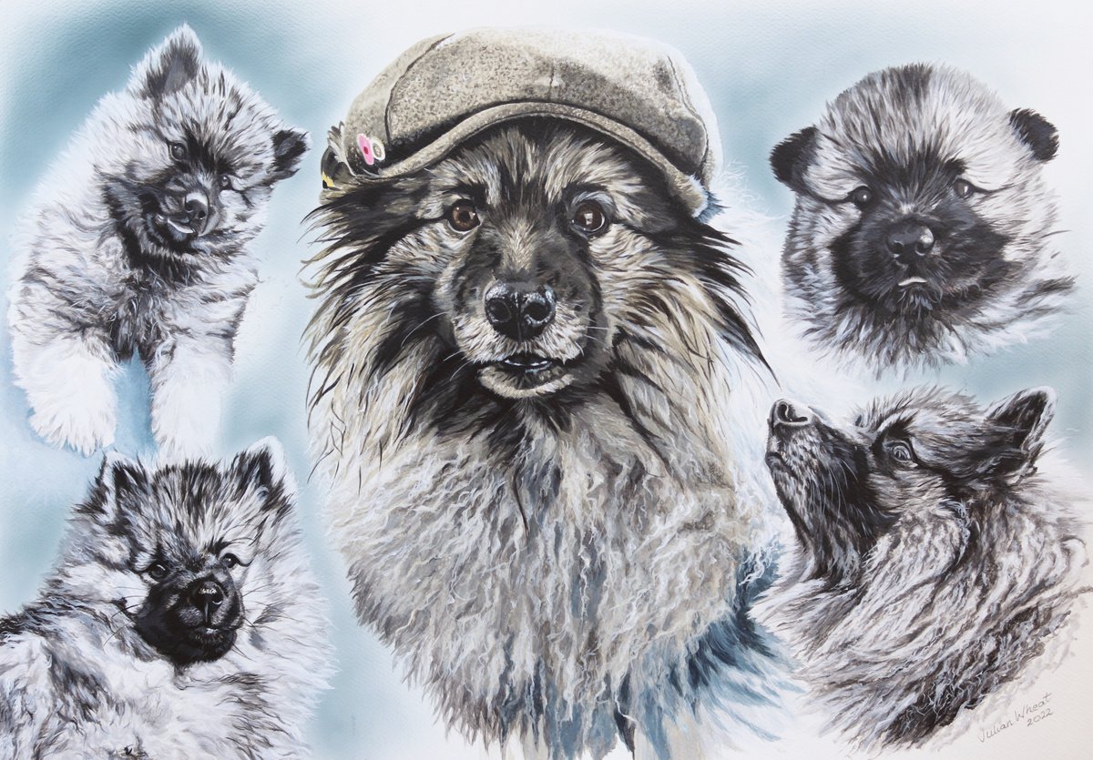 Dutch Barge dog,Keeshond Acrylic painting by Julian Wheat | Artfinder