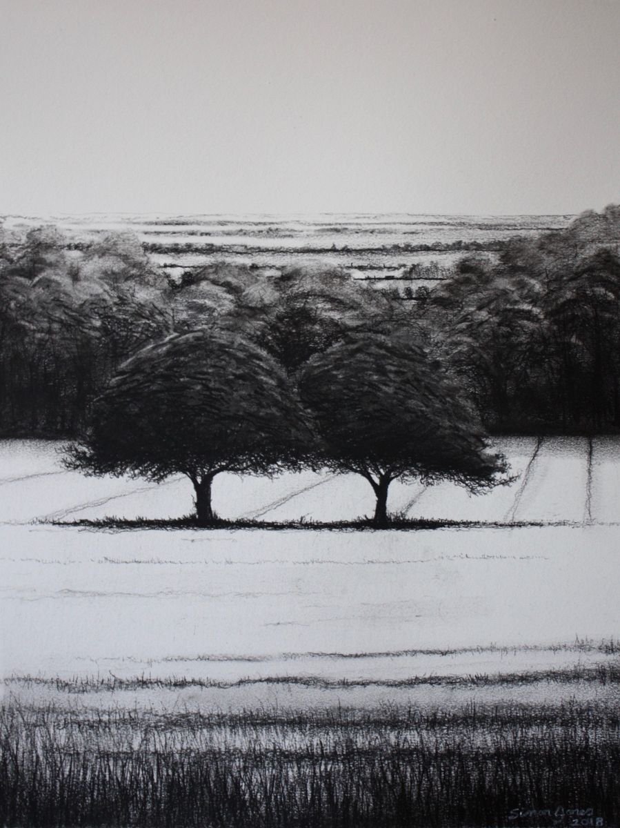 Study for 2 Trees Vista Charcoal drawing by Simon Jones | Artfinder