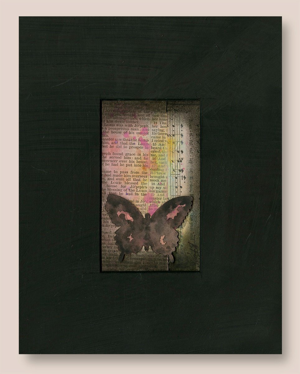 Butterfly Medley 8 Collage: Kathy Morton Stanion | Artfinder