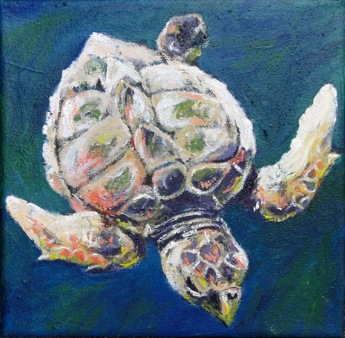 Loggerhead Sea Turtle Oil painting: Clare Sherwen | Artfinder
