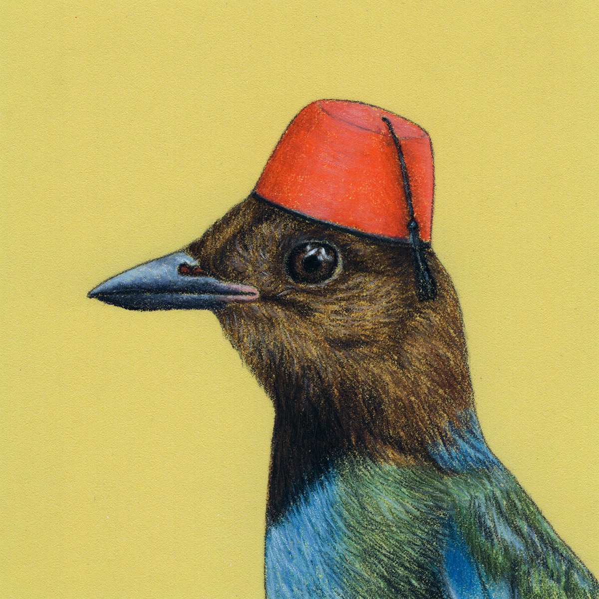 Original pastel drawing bird "Philippine pitta" Pastel drawing: Mikhail ...