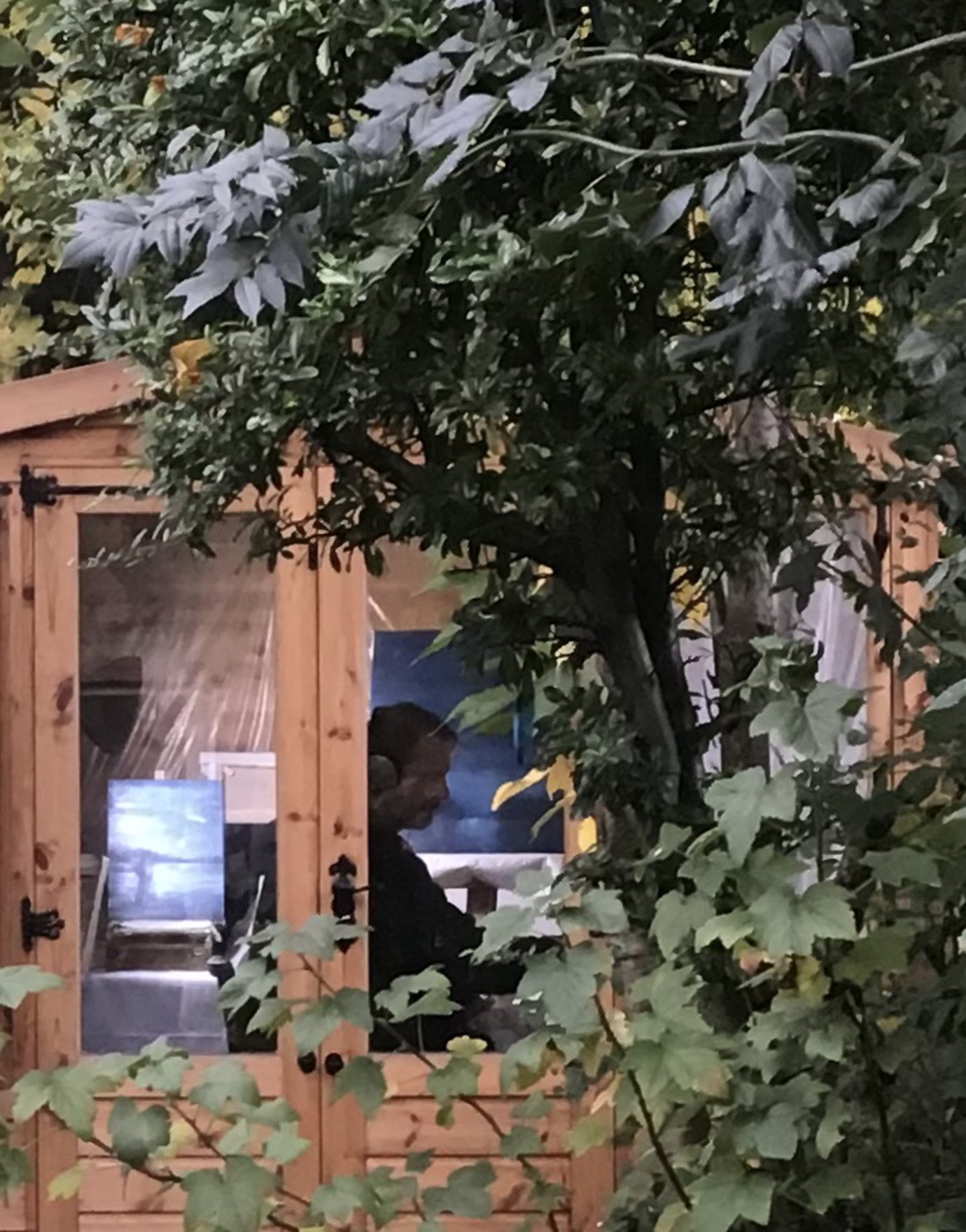 Howard Sills - Latest from Artist Studio | Artfinder