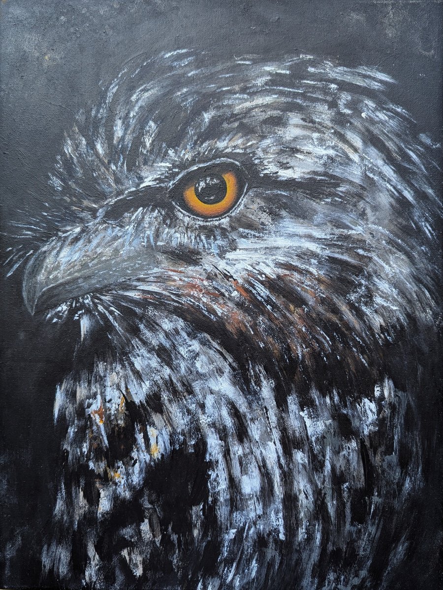 Nightjar Frogmouth nighthawk Acrylic painting: Wowhawk | Artfinder