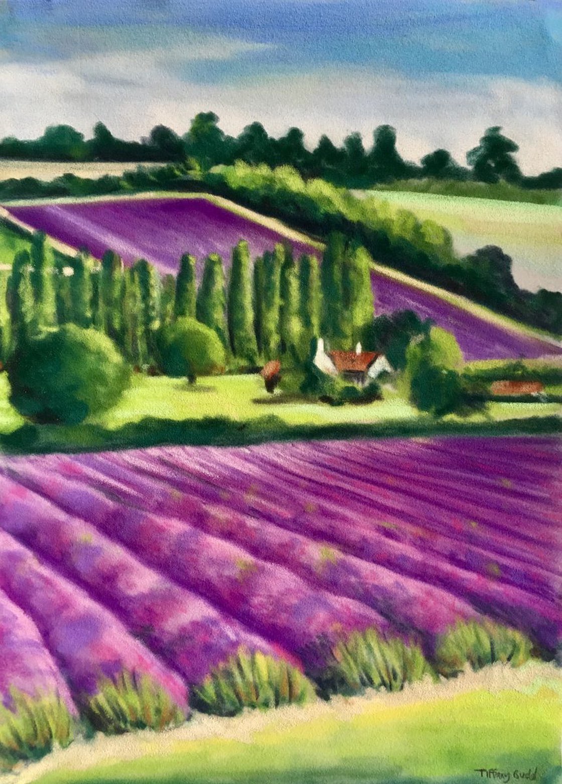 Lavender Fields Pastel drawing by Tiffany Budd | Artfinder