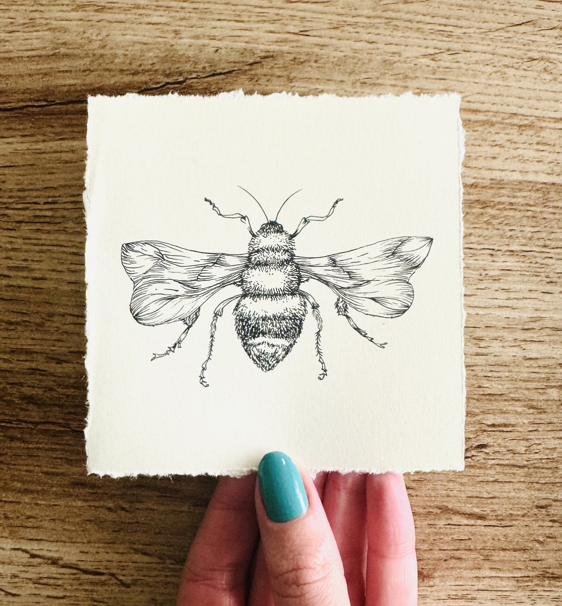 Original Bumblebee Ink Drawing Ink drawing by Kate Mac | Artfinder
