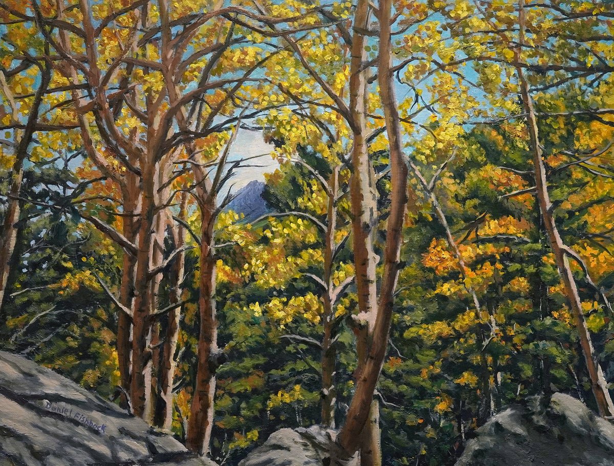 Aspens in Estes Park CO Oil painting: Daniel Brian Fishback | Artfinder
