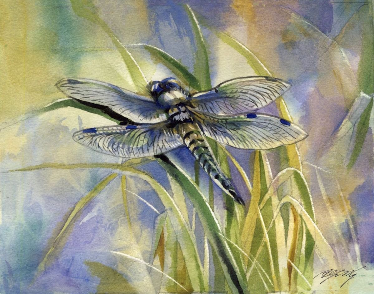 blue dragonfly (2015) Watercolour by Alfred Ng | Artfinder