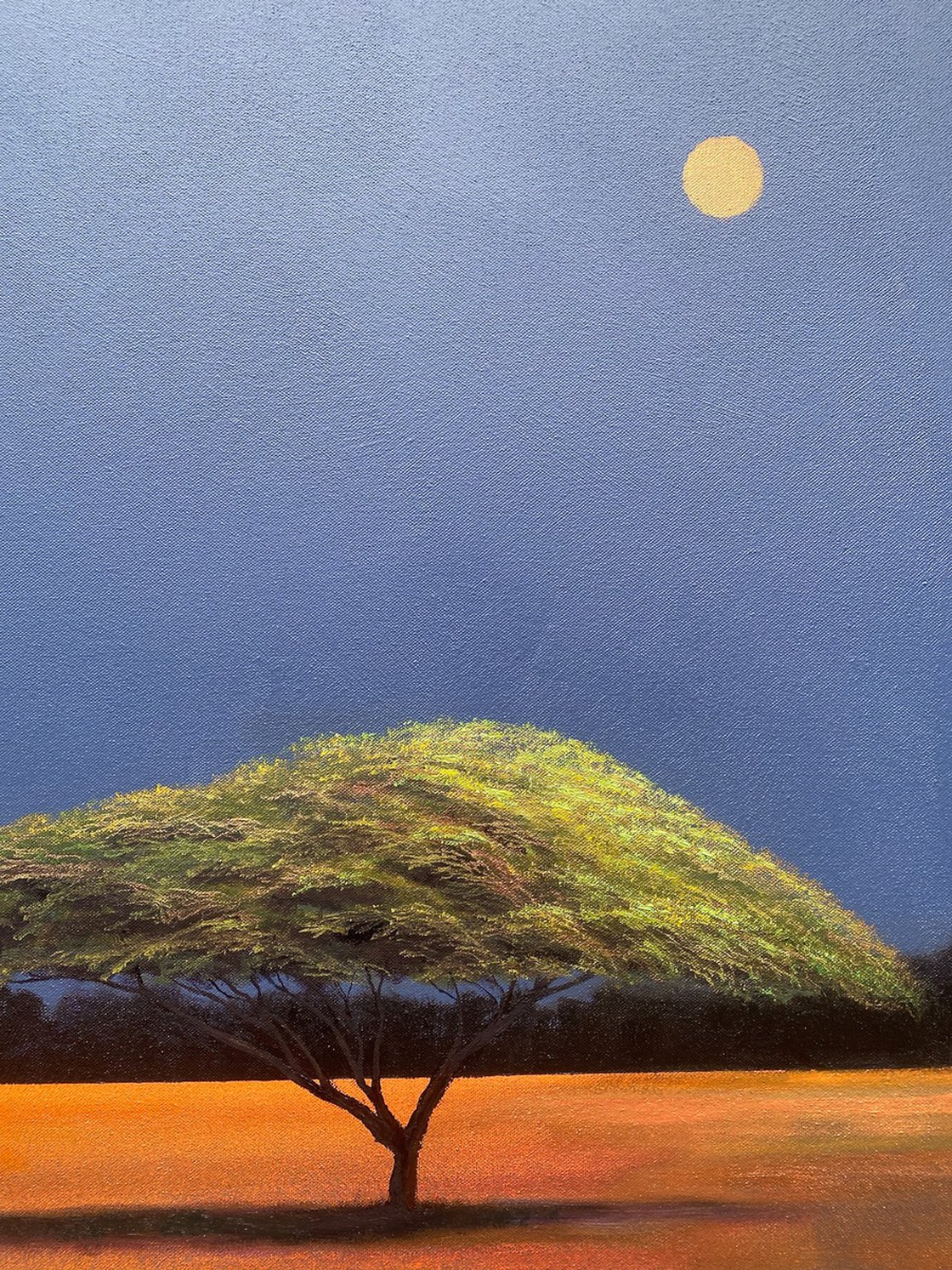 "Acacia Tree in a Surreal Landscape III" Large landscape Oil Painting ...