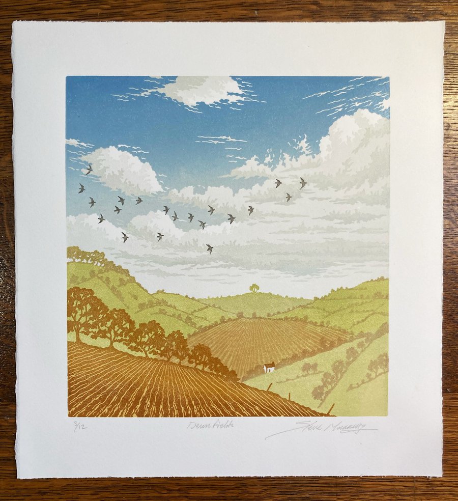 Devon Fields Linocut: Steve Manning | Artfinder