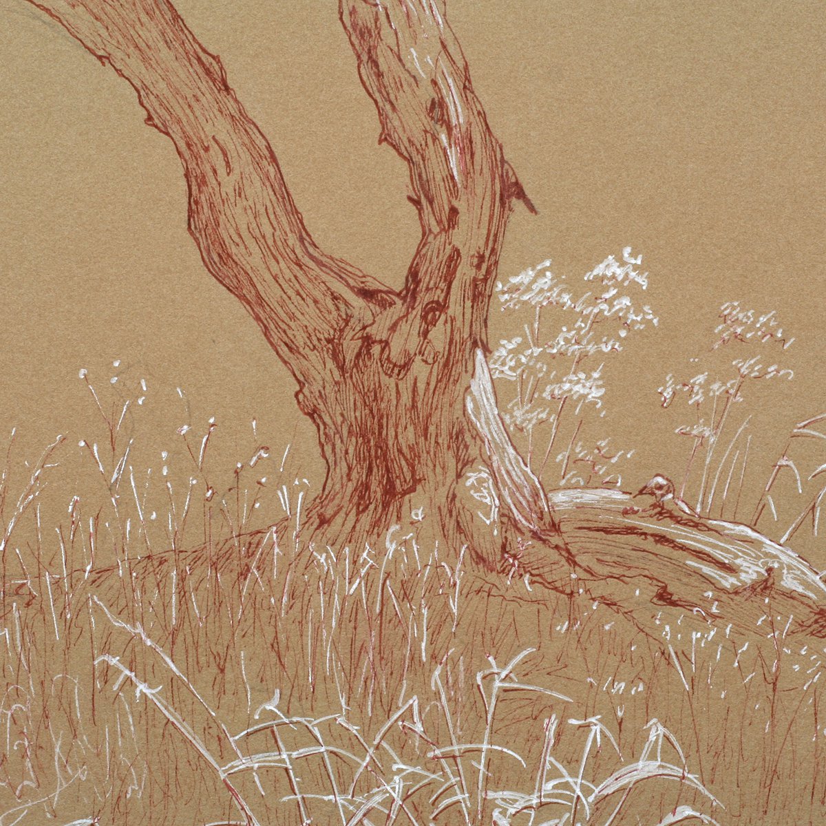 John Fleck Original Art Works