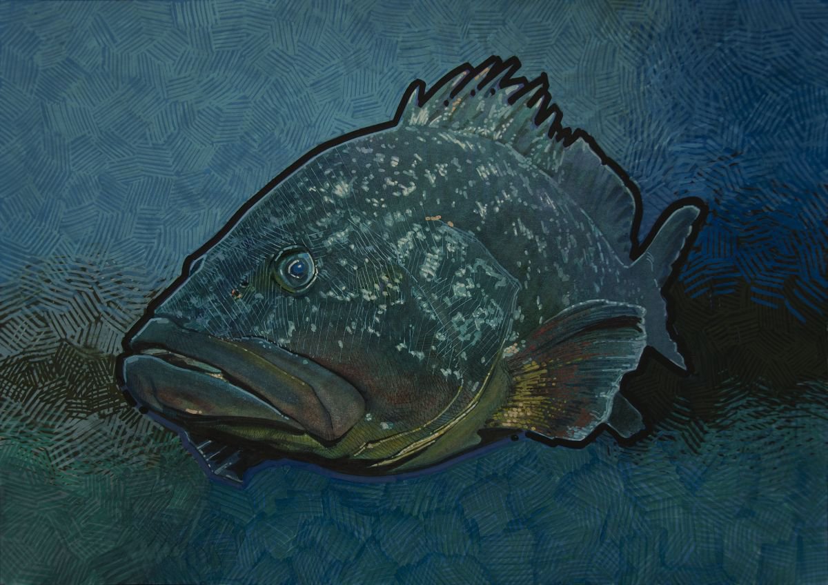 Grouper 04 - SOLD Drawing by Carlos J. Marquez | Artfinder