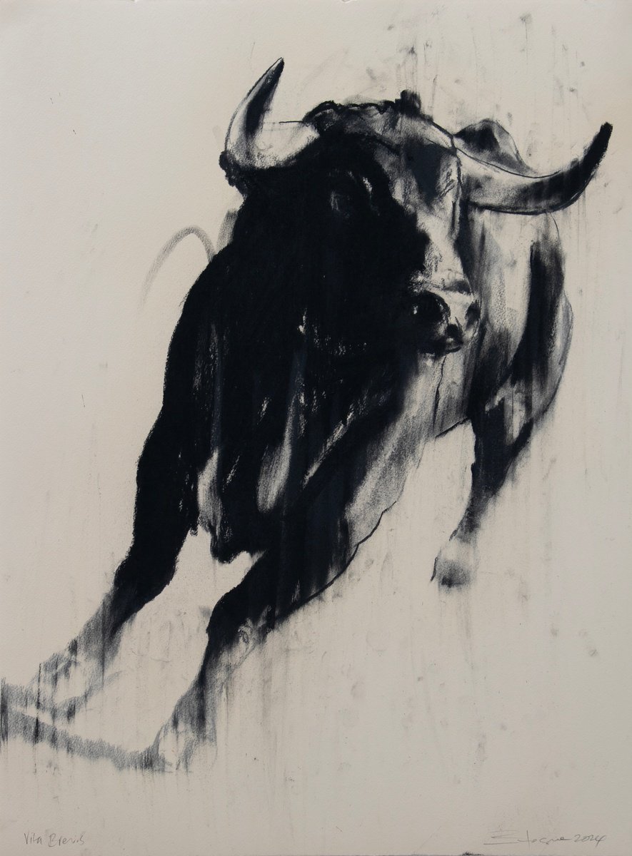 Vita Brevis Charcoal drawing: Zil Hoque | Artfinder