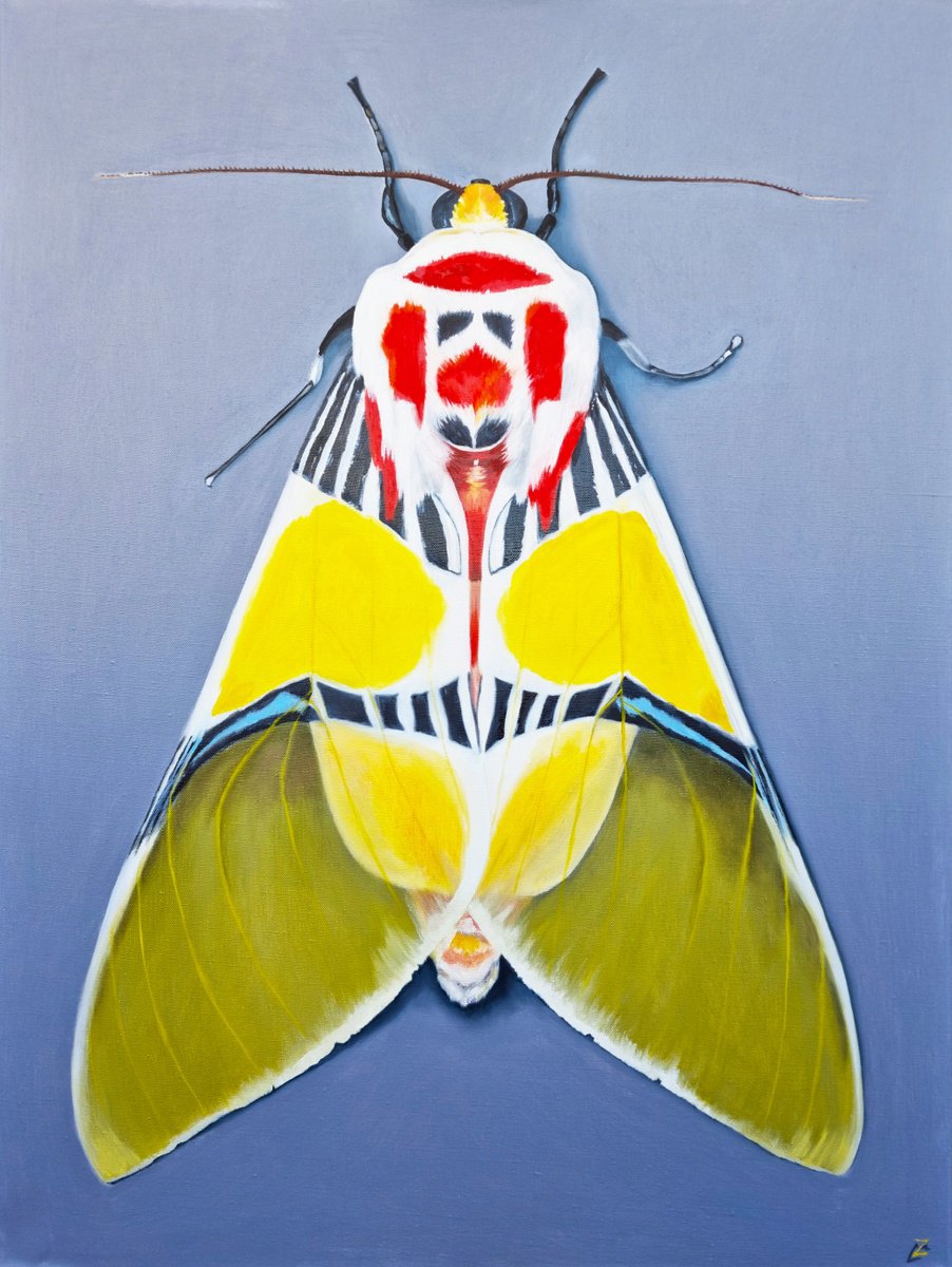 Tiger moth with Clown face Oil painting: Zulfiya Mukhamadeyeva | Artfinder