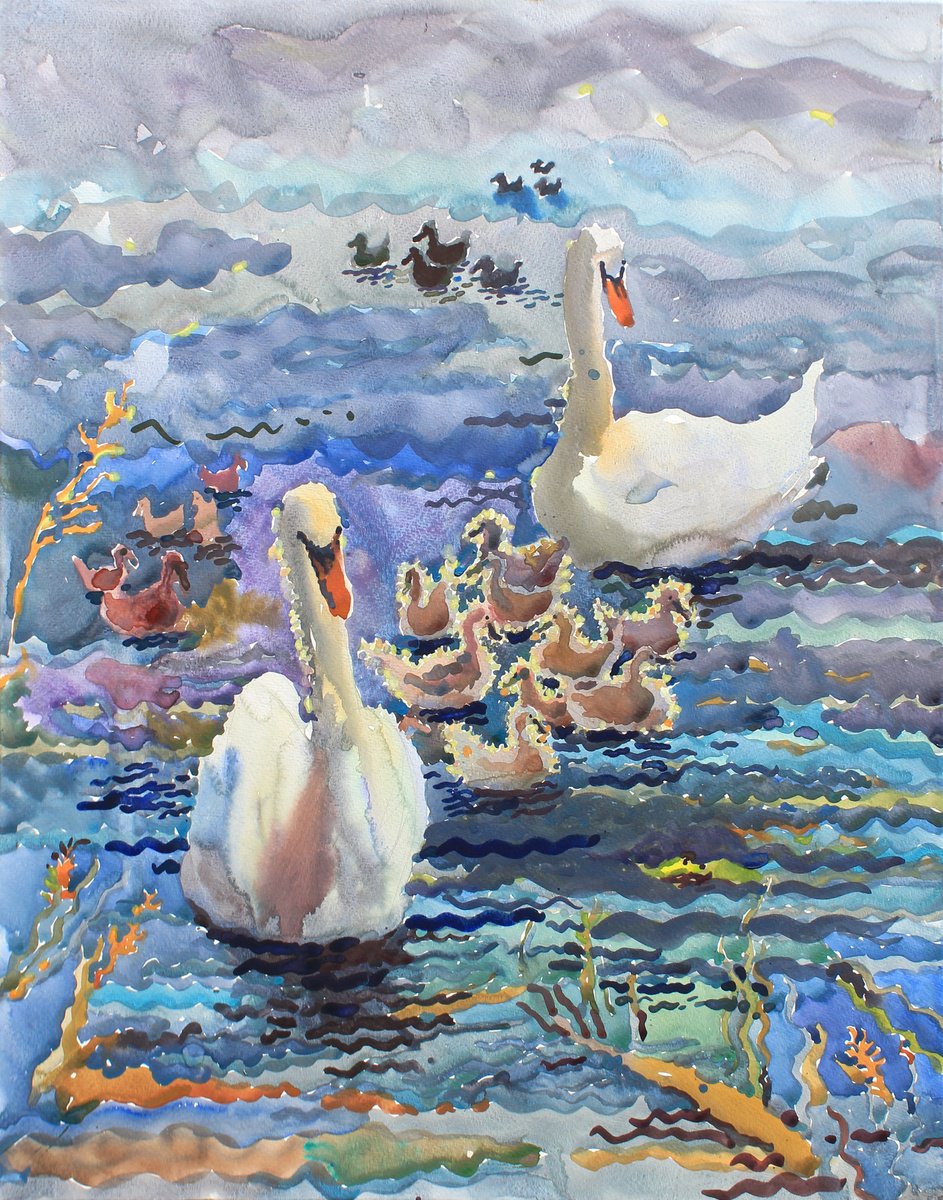 Swan family Watercolour: Tanbelia | Artfinder