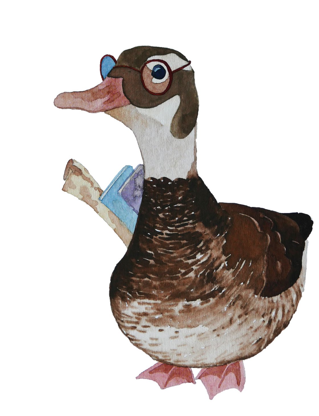Ducks and books, part 1. Professor of duck science Watercolour by ...