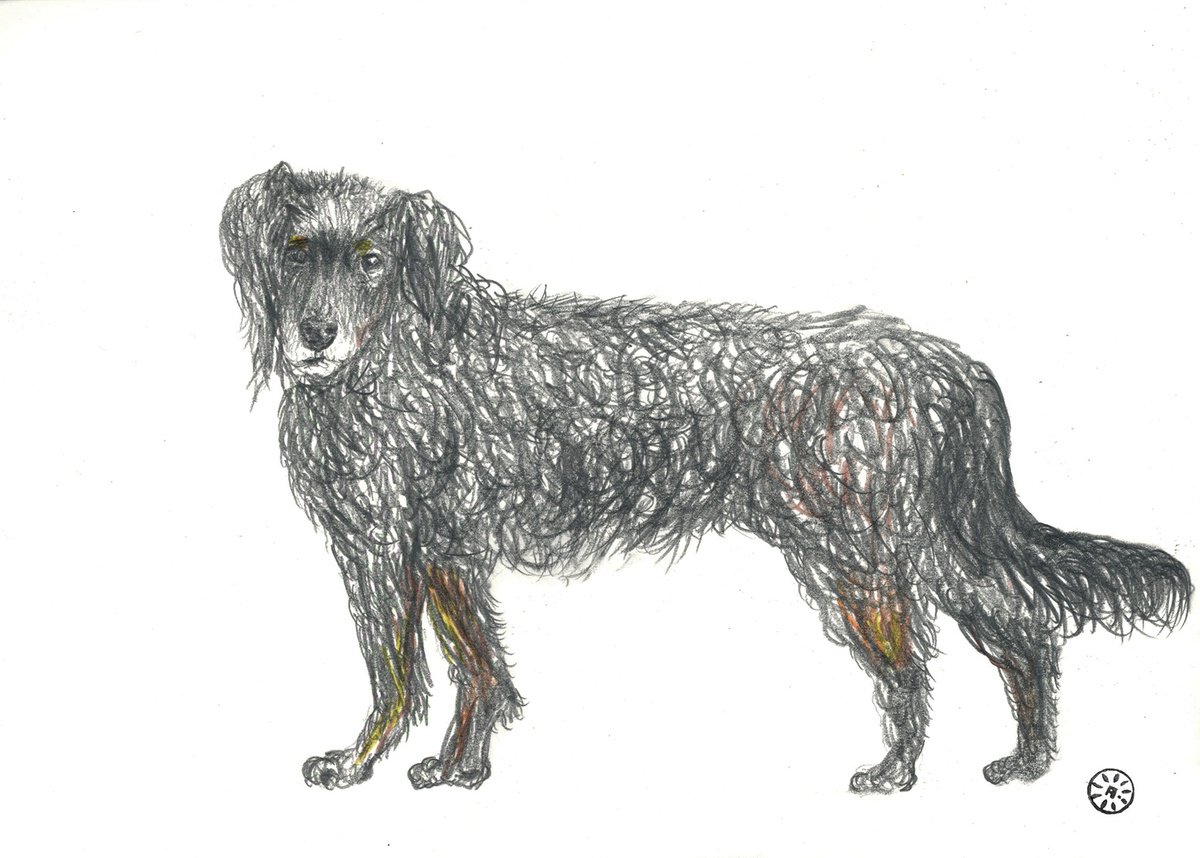 Dirty Dog Pencil drawing by Anton Maliar | Artfinder