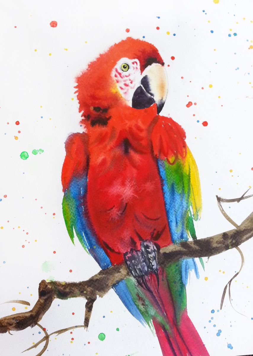 RESERVED - Red Macaw – Red Parrot - Red Bird | Artfinder