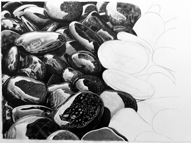 Wet Pebbles #2 (Pencil Drawing) by Paul Stowe | Artfinder