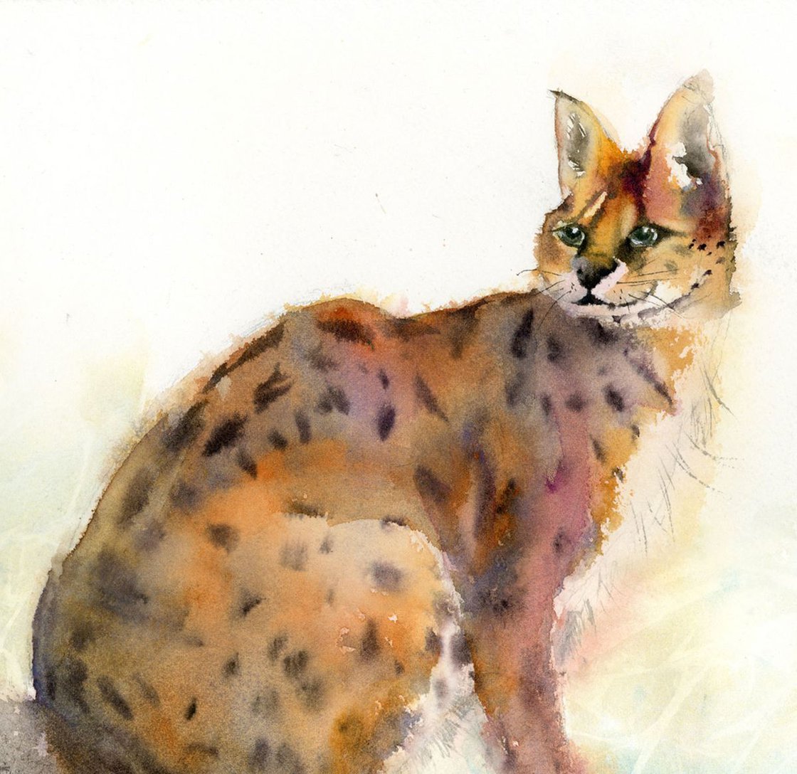Realistic Wild Cat Artwork ORIGINAL Watercolor Lynx Painting ...
