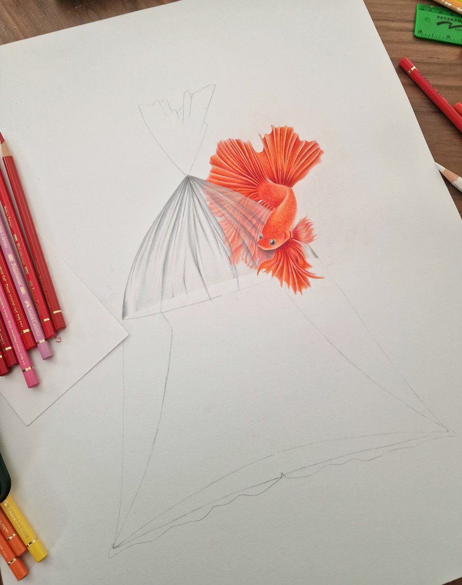 Original Pencil Drawing - Fish Out of Water: 1 by Daniel Shipton