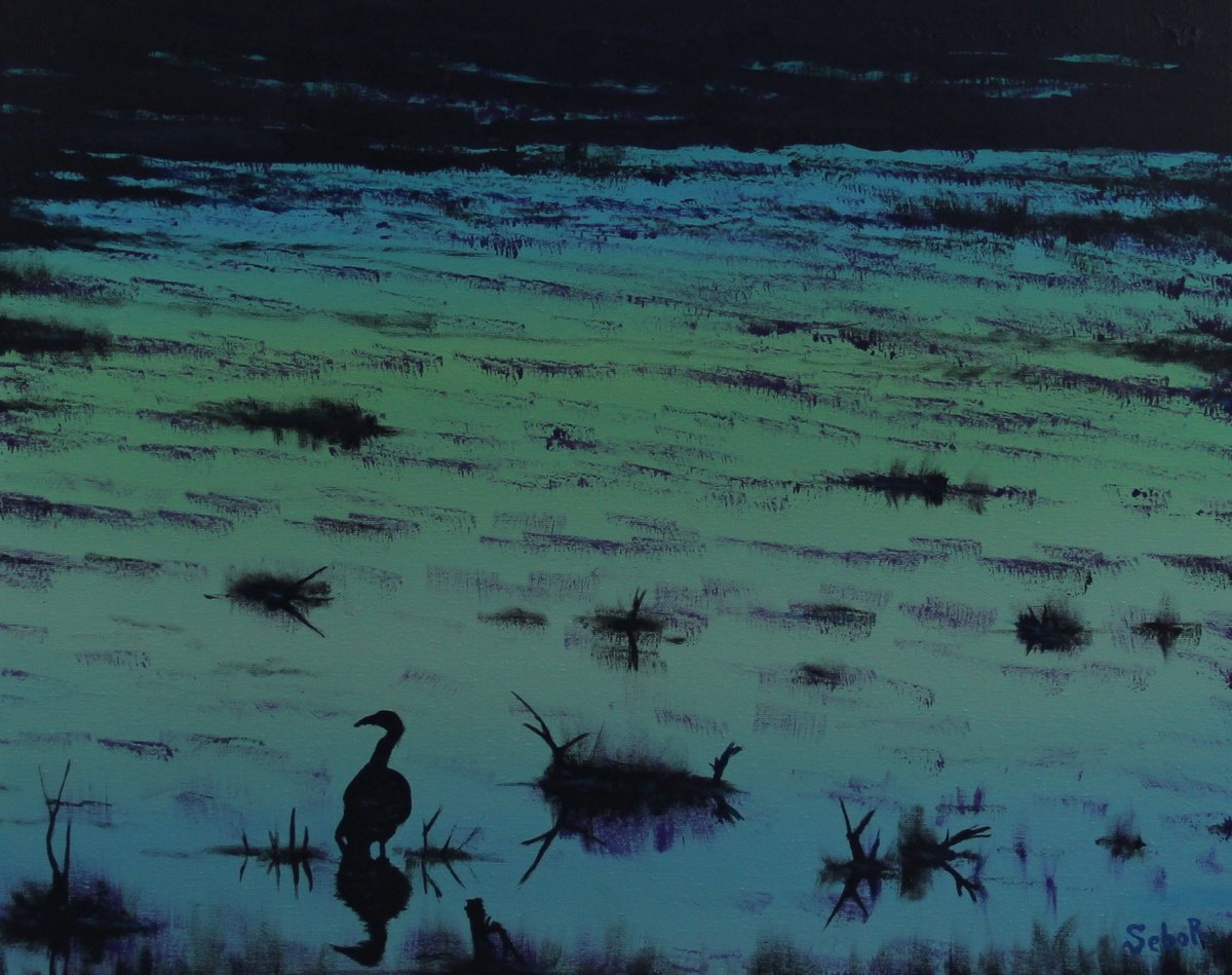 Twilight Shade Acrylic painting by Serguei Borodouline | Artfinder