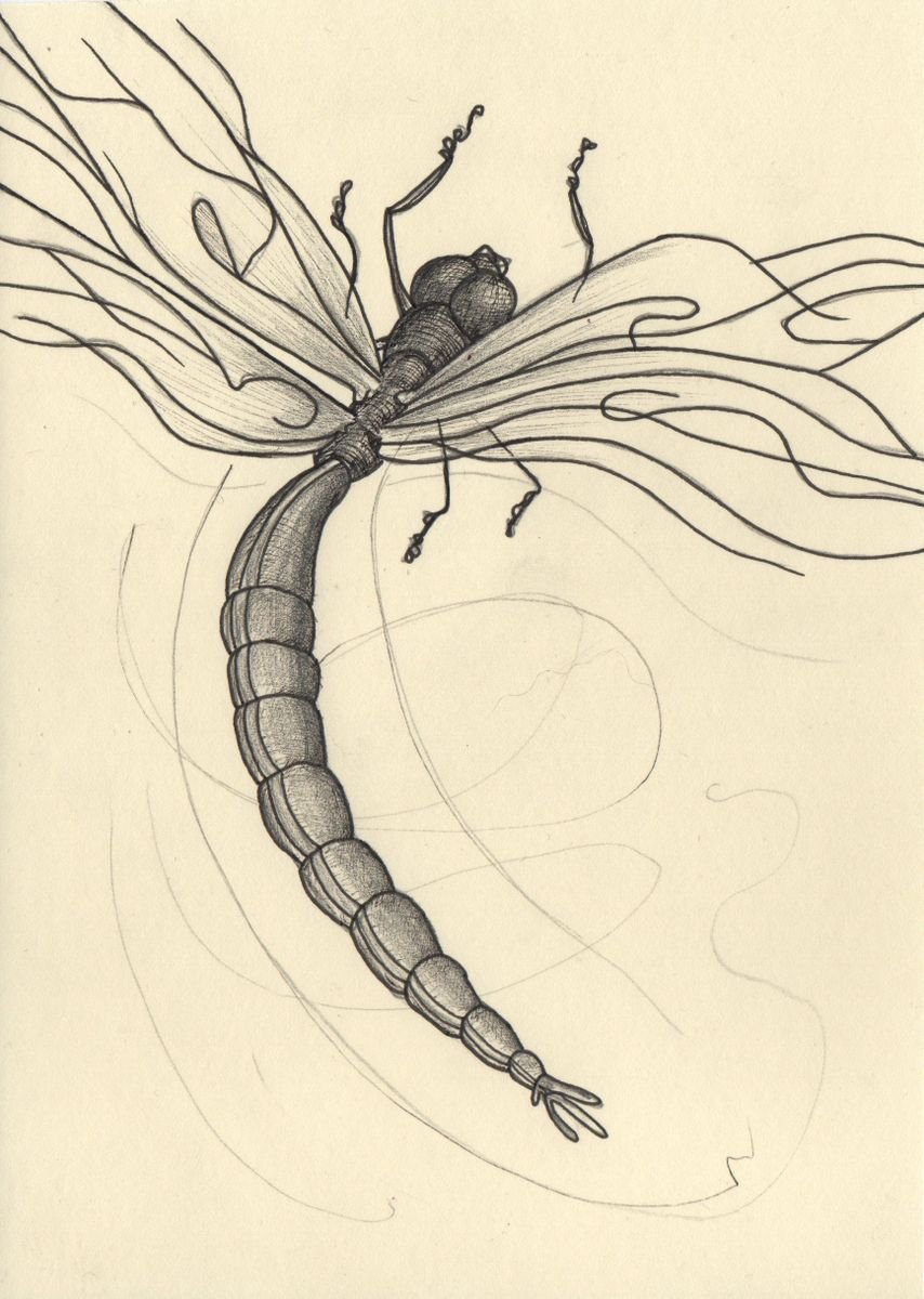 Swirl with dragonfly Ink drawing by Arjan Winkelaar | Artfinder