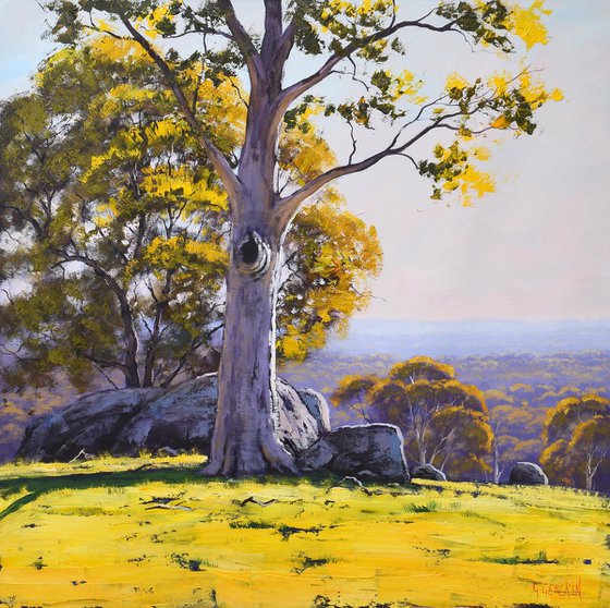 Graham Gercken - Paintings for Sale | Artfinder