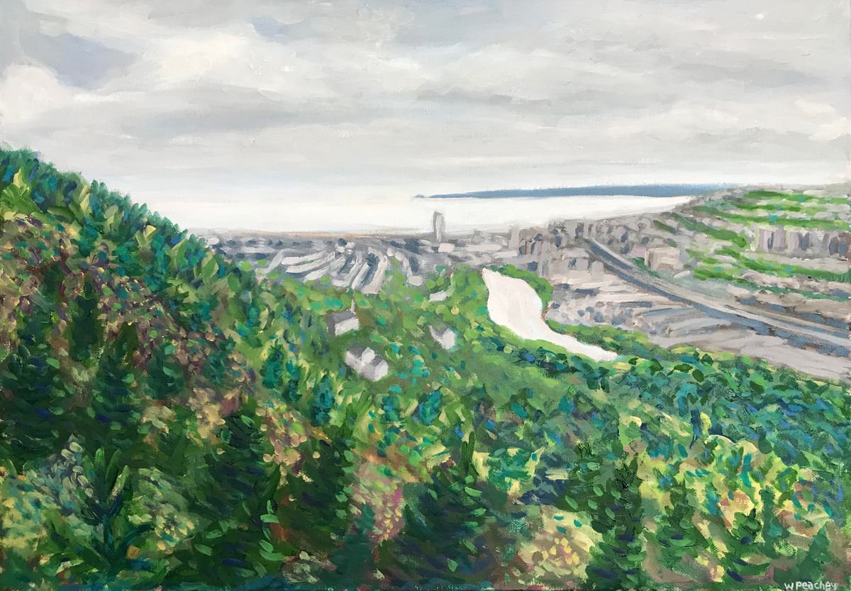 Swansea View from Kilvey Hill 2017 Oil painting by Wayne Peachey ...