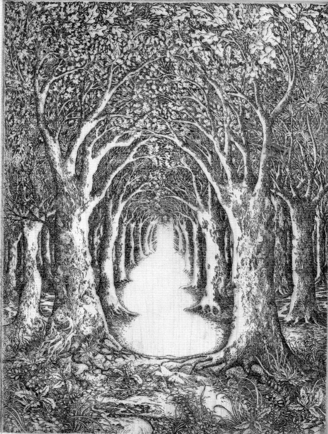 Into the Forest Etching / Engraving: Tricia Newell | Artfinder