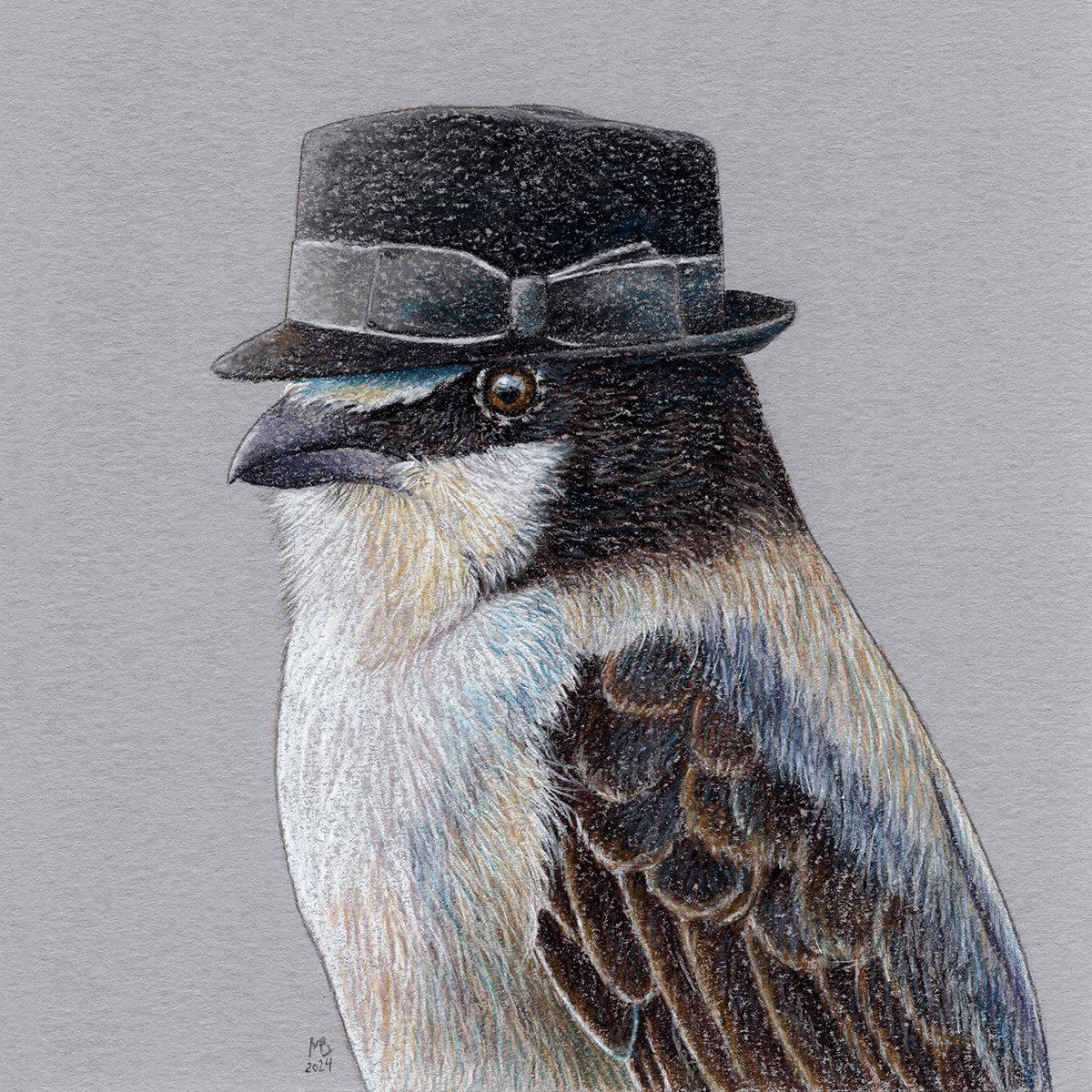 Northern white-crowned shrike Pastel drawing by Mikhail Vedernikov ...