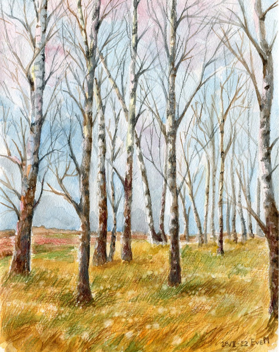 Autumn in a birch grove. Original watercolor artwork. Mixed-media ...
