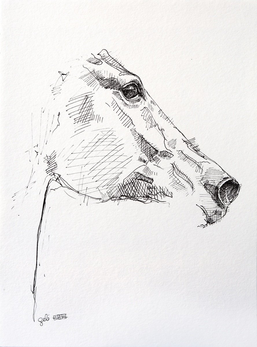 Expression 2a Ink drawing by Benedicte Gele | Artfinder