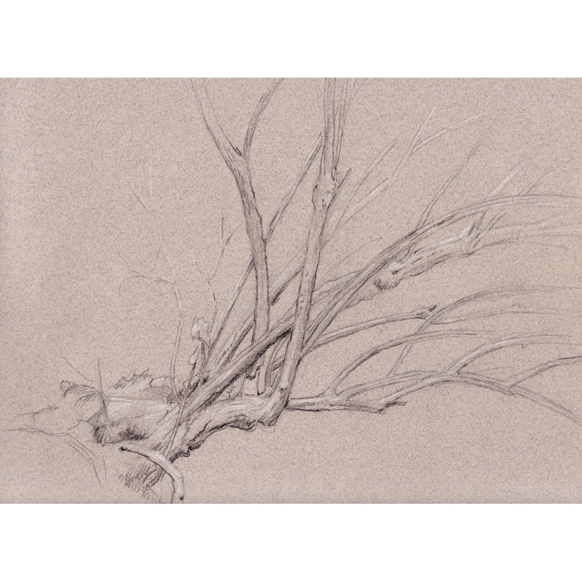 John Fleck Original Art Works