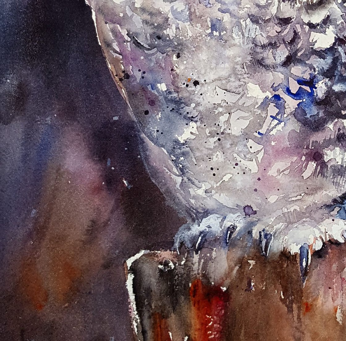 Misty _Owl Watercolour by Arti Chauhan | Artfinder