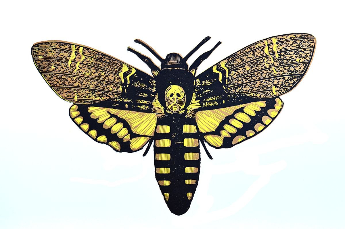 Death's Head Hawk Moth Linocut by Ieuan Edwards | Artfinder