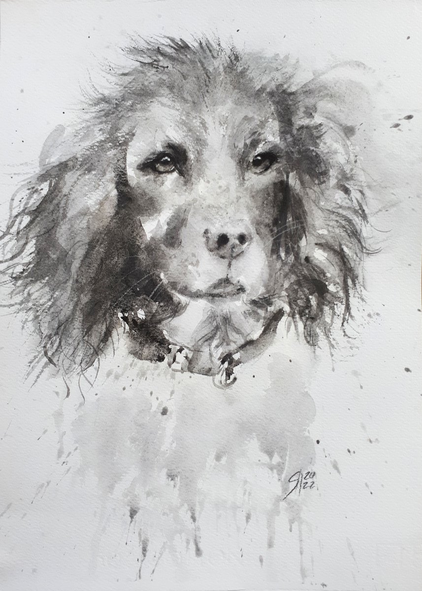 English Springer Spaniel Watercolour: Salana Art / Svetlana Samovarova ...