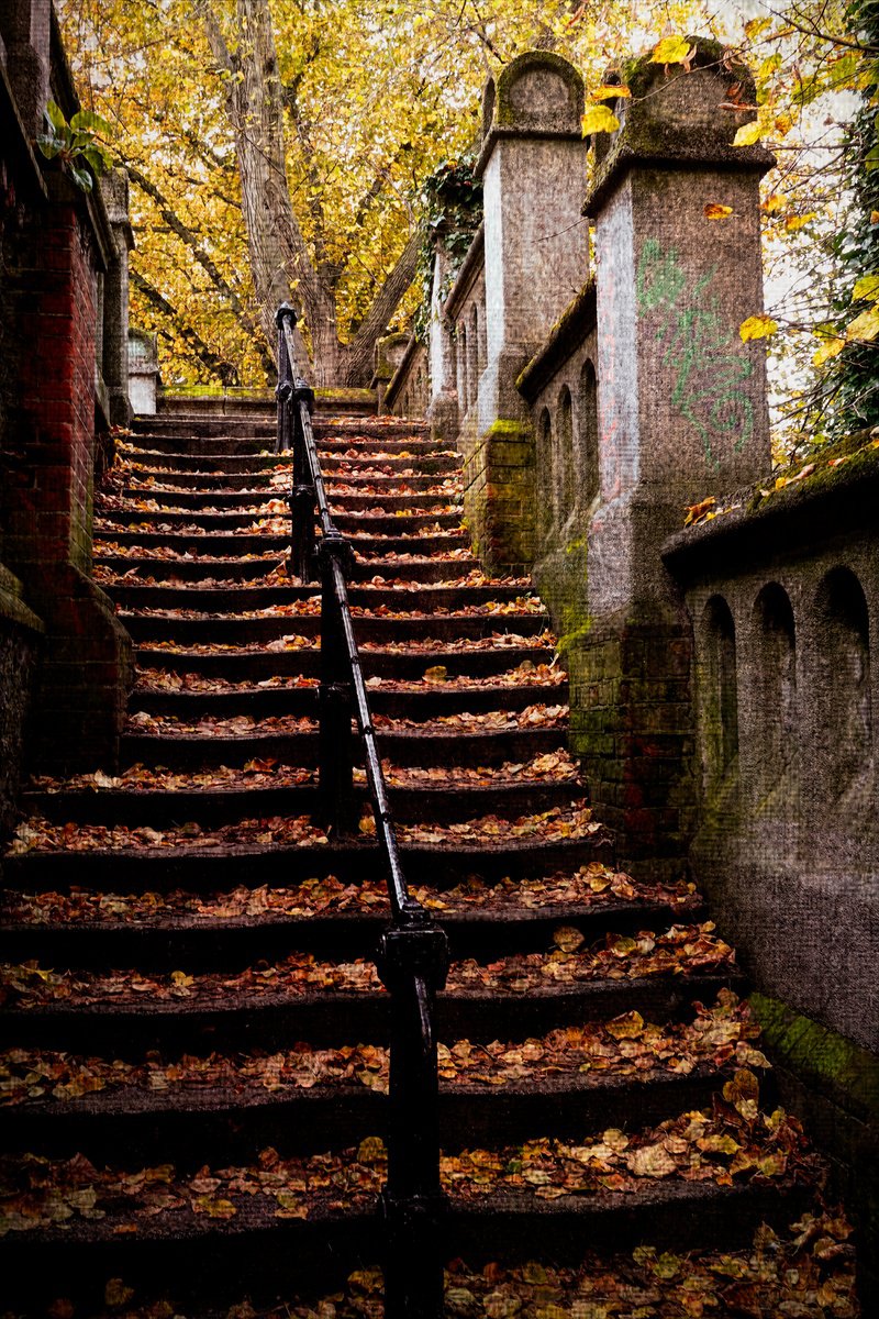 Autumn Steps Photograph: Martin Fry | Artfinder