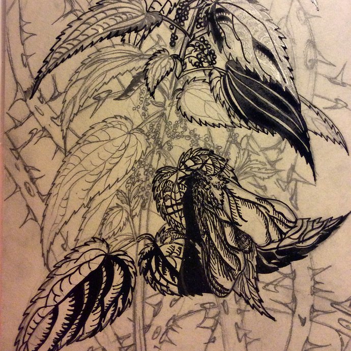 Cally Conway - Latest from Artist Studio | Artfinder