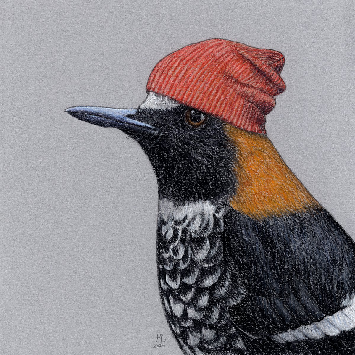 Chestnut-naped Forktail Pastel drawing by Mikhail Vedernikov | Artfinder